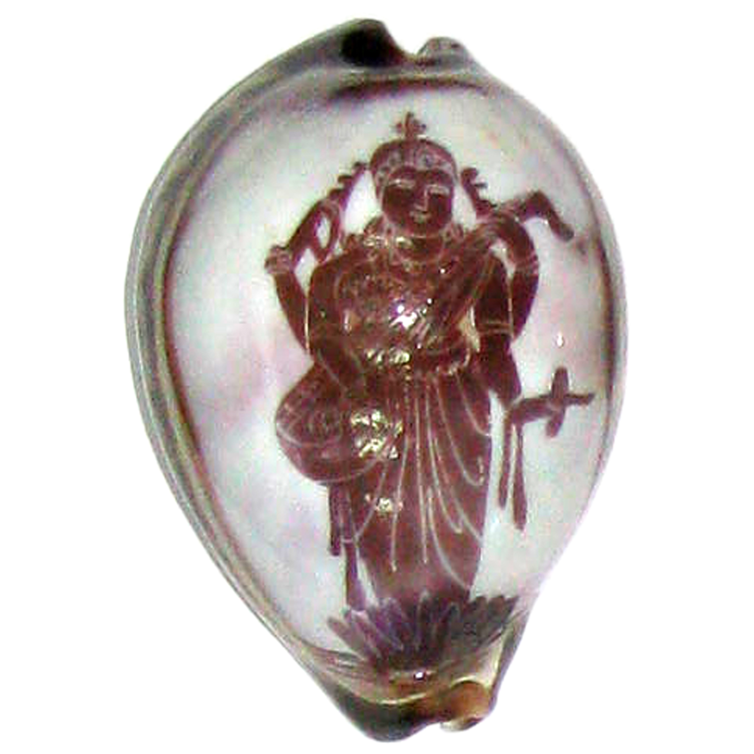 Natural Vishnu Vahan Garuda Shankh Conch Sea Shell – A0350-05 - DivineOcean